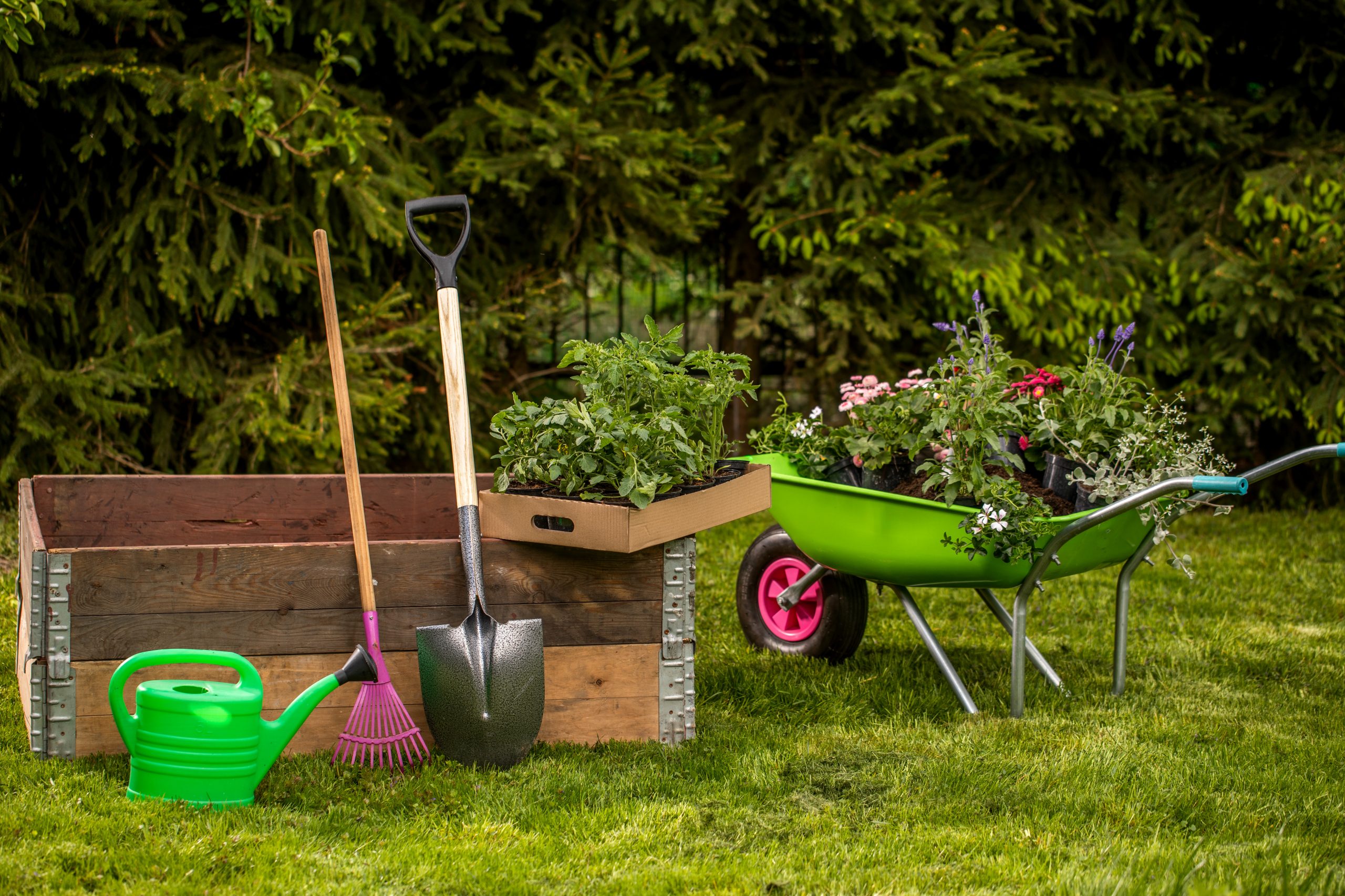 Je jardine, tu jardines… atelier jardinage - Caudebec-lès-Elbeuf